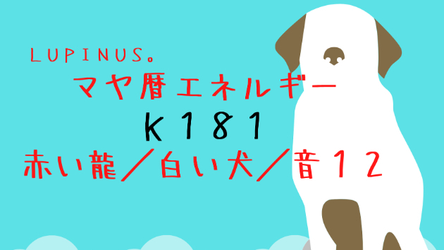 K181 どっしりと構える日！｜Lupinus。 ルピナス｜coconalaブログ